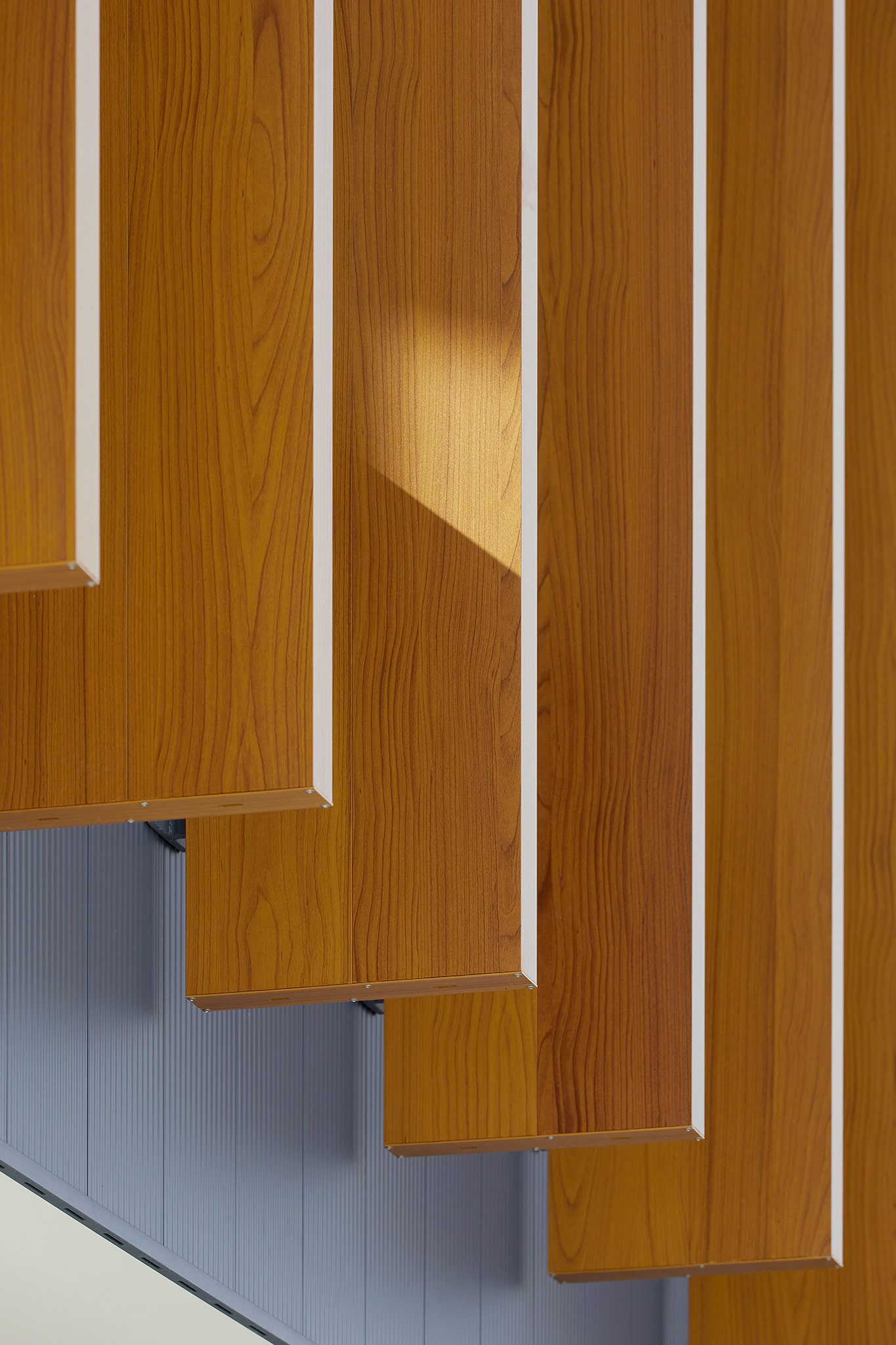 Insol | Pinehurst School